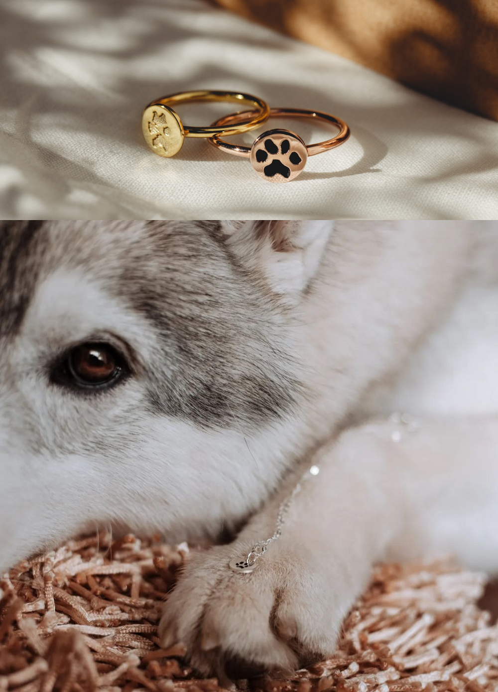 Custom Paw Jewelry | Personalized Pet's Paw Print Jewelry Shop